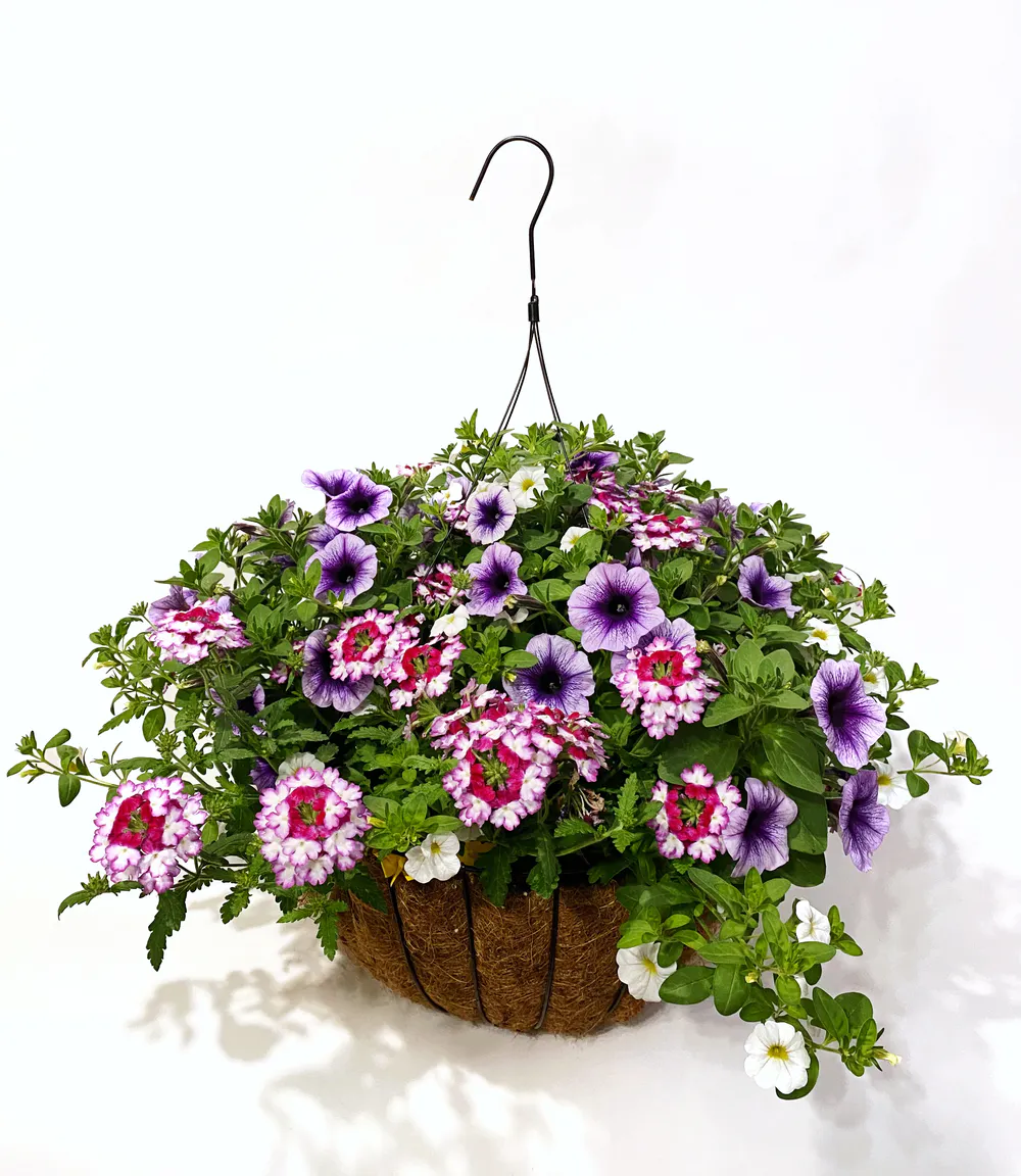 Blooming Hanging Baskets | Kalamazoo Flowers & Plants