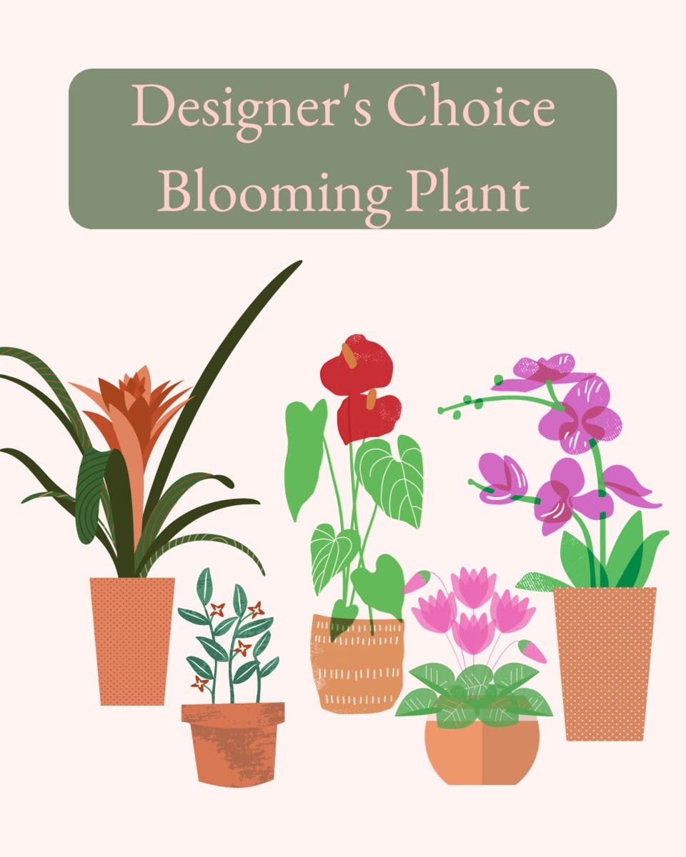 Kalamazoo's Best Blooming Plants | Same-Day Delivery