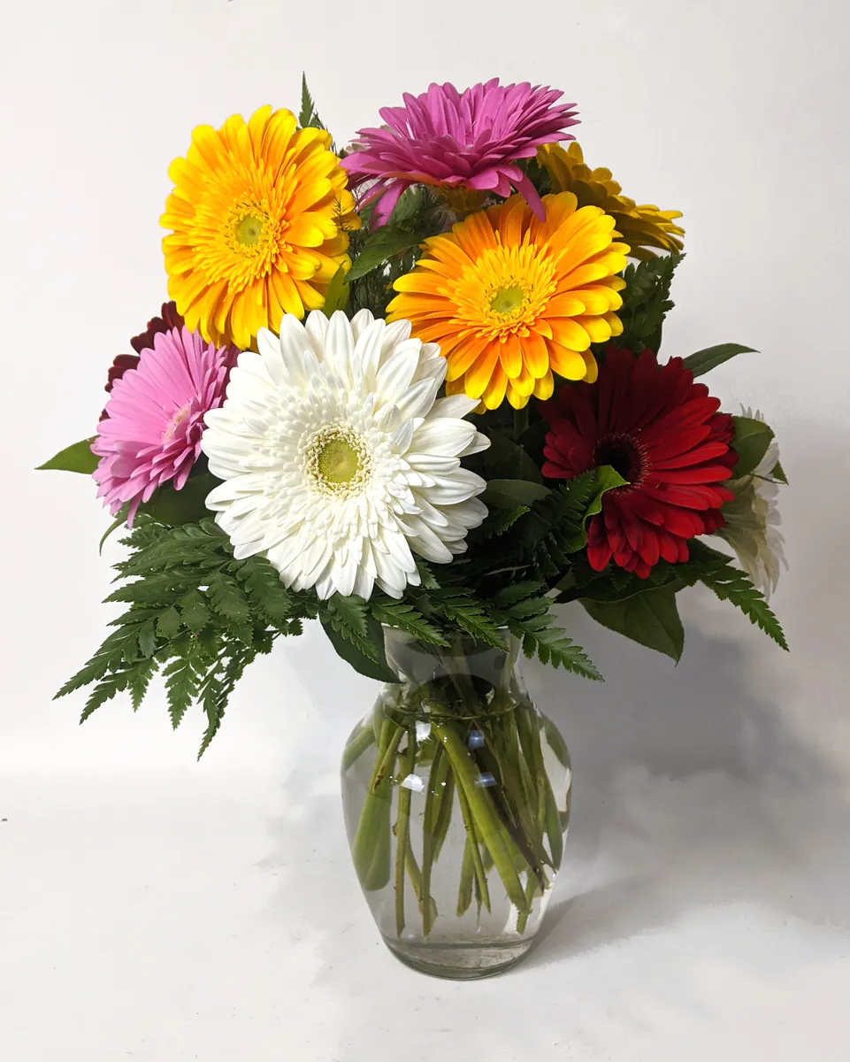 Gerbera Daisy Vase