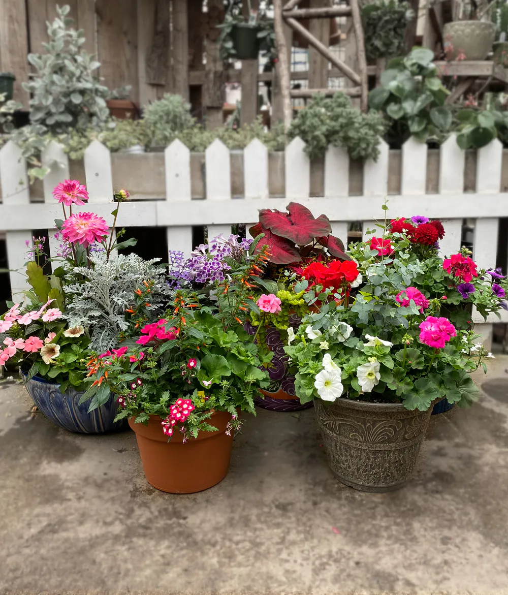 Kalamazoo Florist | Same-Day Kalamazoo Flower Delivery by VanderSalm's ...